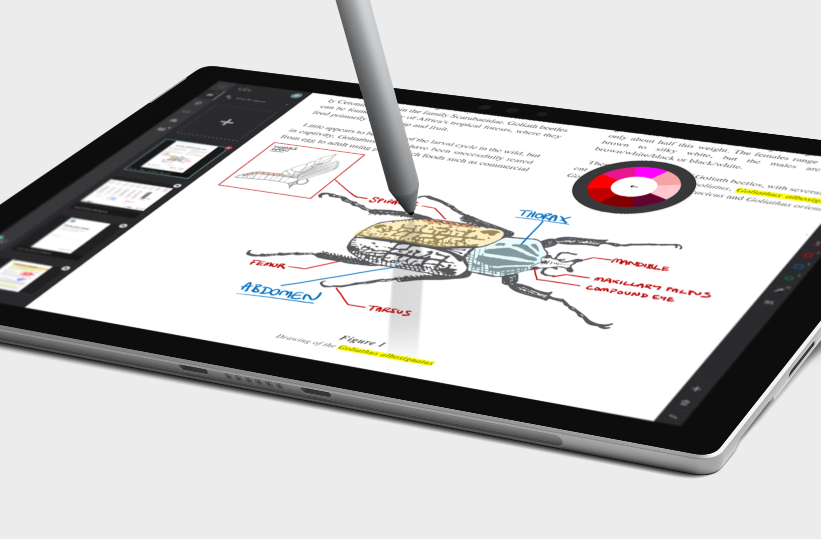 PDF Tools for Students | Special Pricing Discounts Just for Students